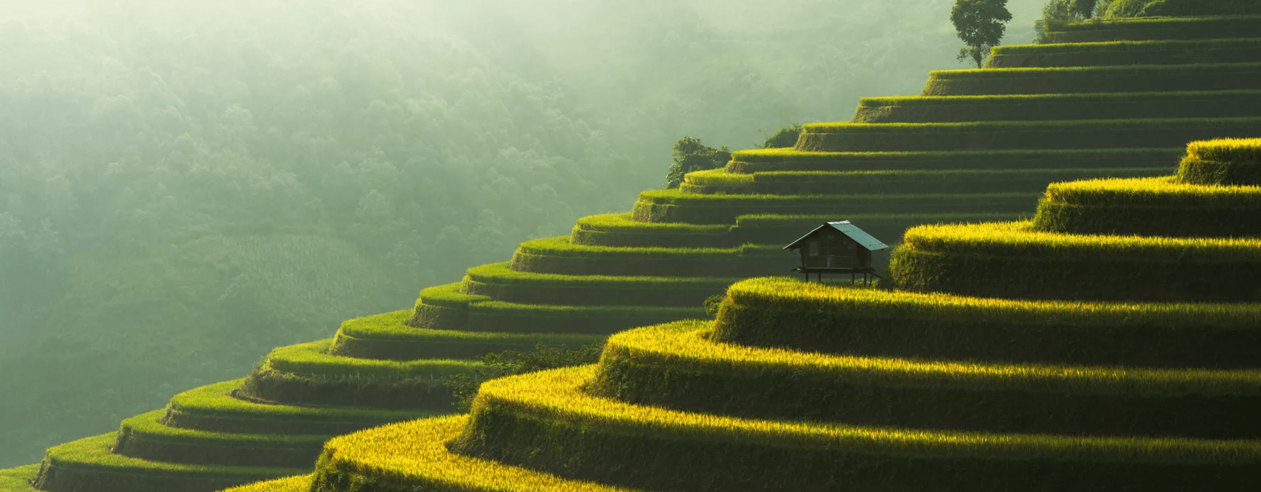 Luxury Vietnam and Cambodia Journey | 2026/2027 | Tailor-made & Bespoke