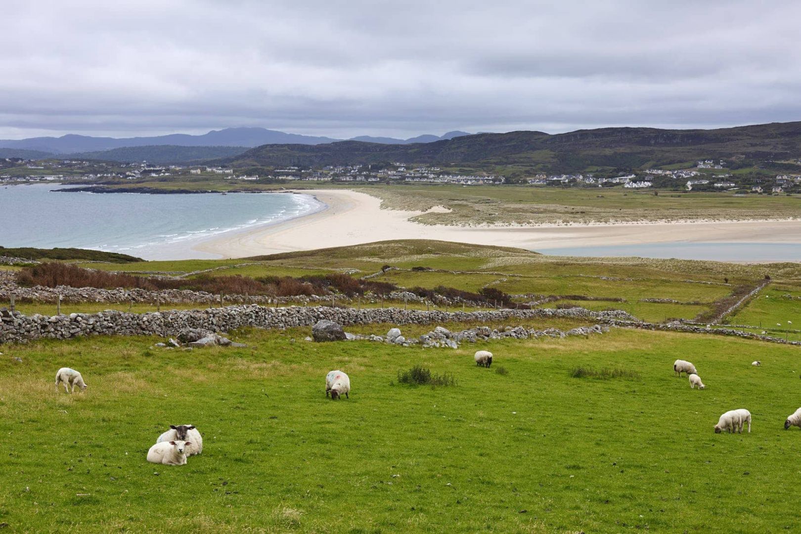 Trá Mór Beach Discovery | Do Not Disturb